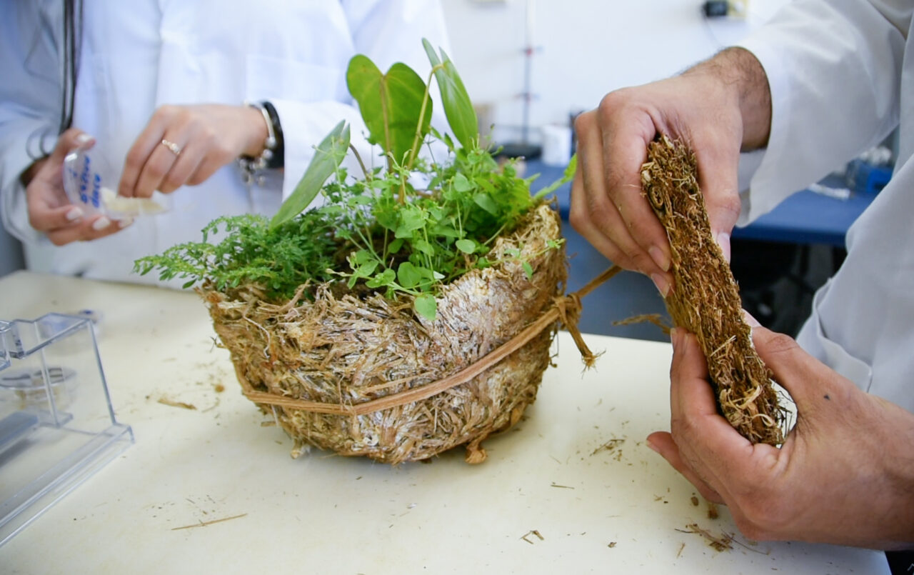 Empresa desarrolla productos biodegradables con residuos orgánicos y ...